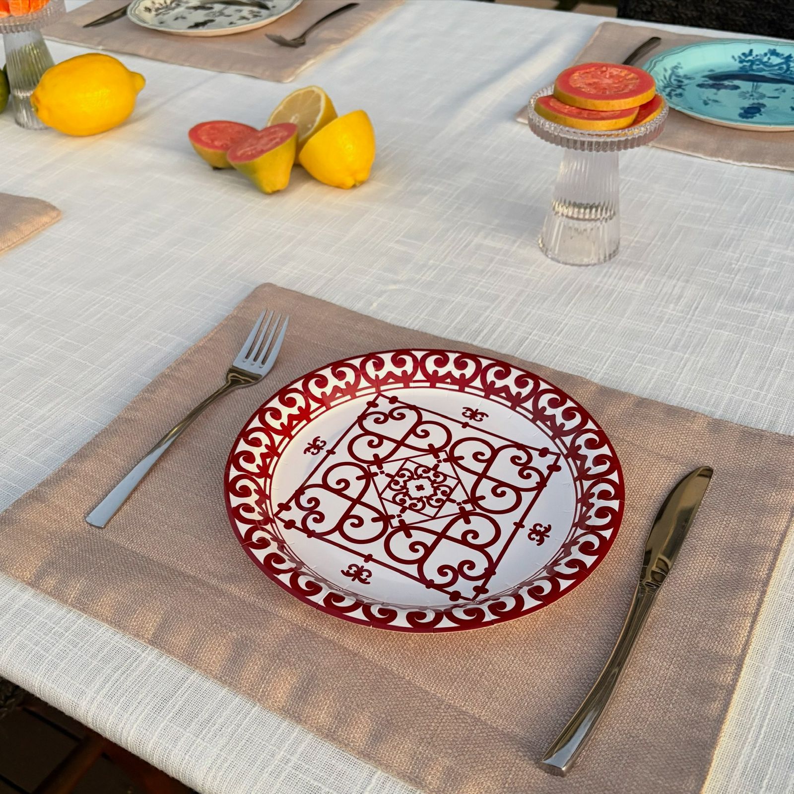 Dinner size plates 10” – La Plate